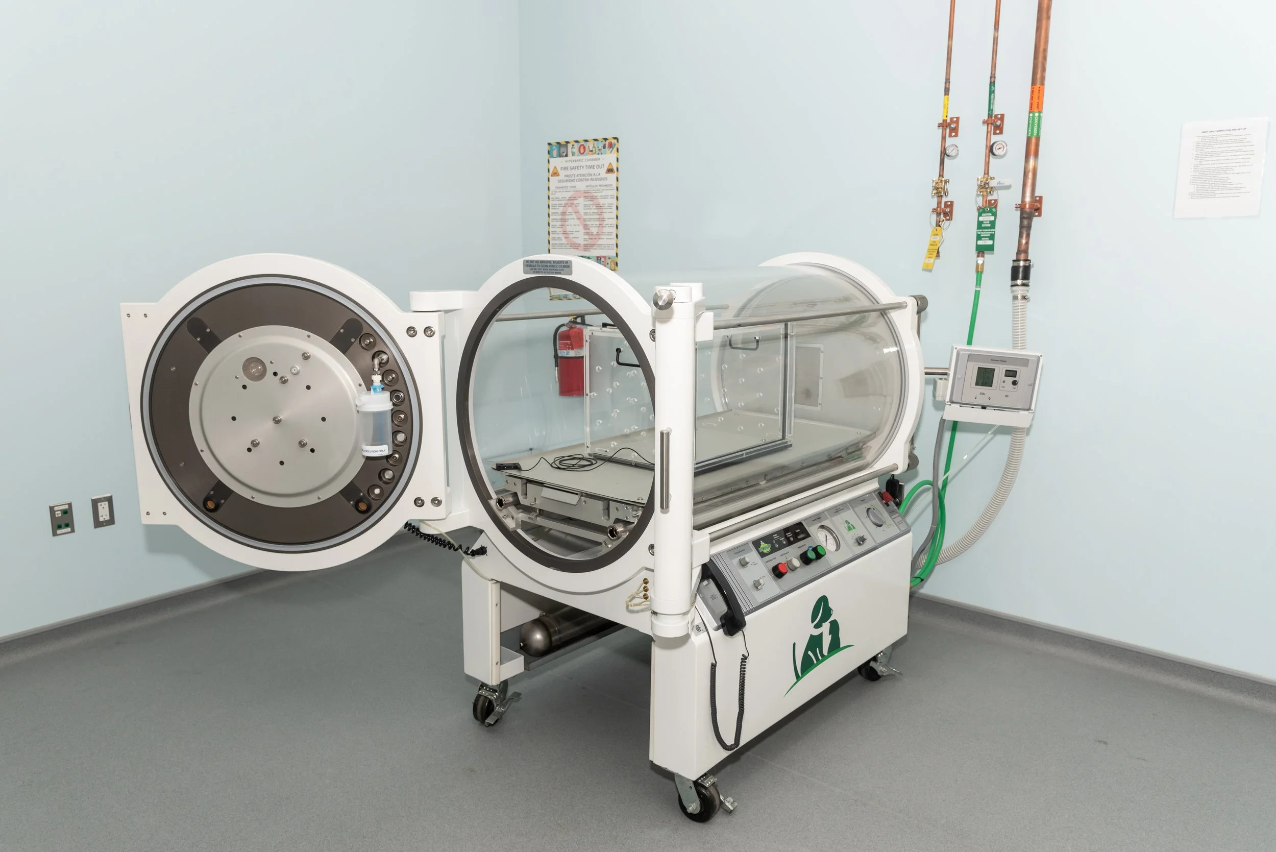 Hyperbaric Oxygen Therapy (HBOT) for Dogs | VNIoC — vetneurochesapeake