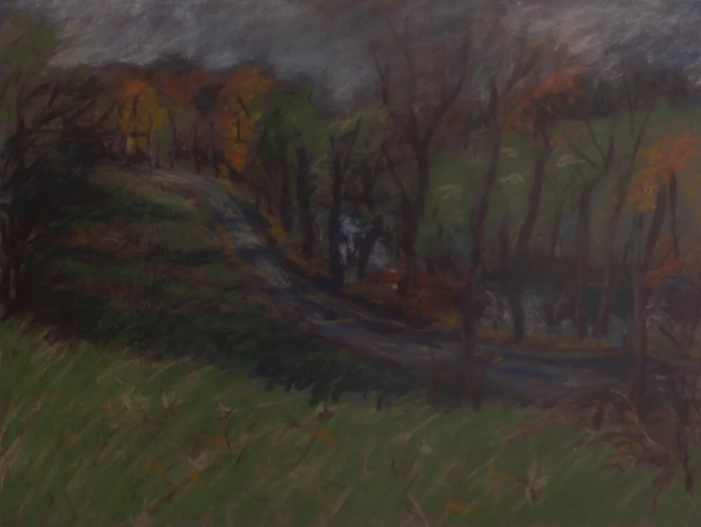 Gallery 1 — Elizabeth Shafer Artist