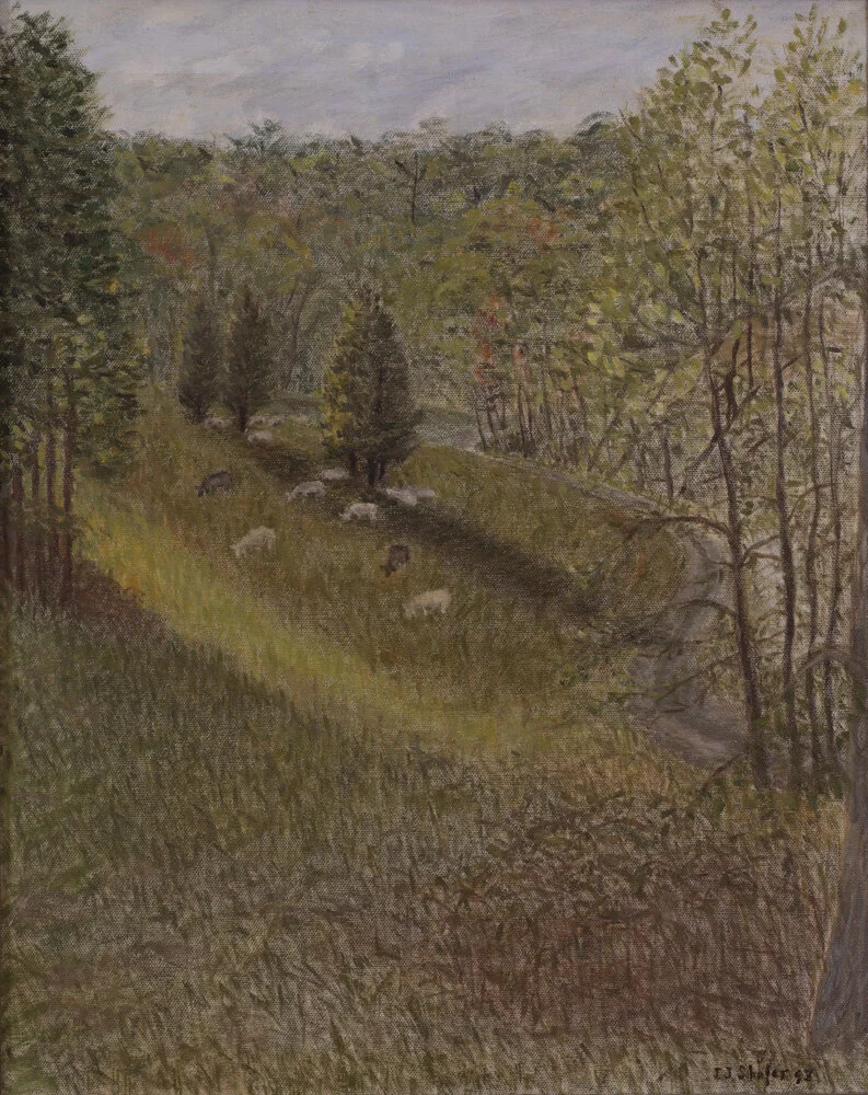 Gallery 1 — Elizabeth Shafer Artist