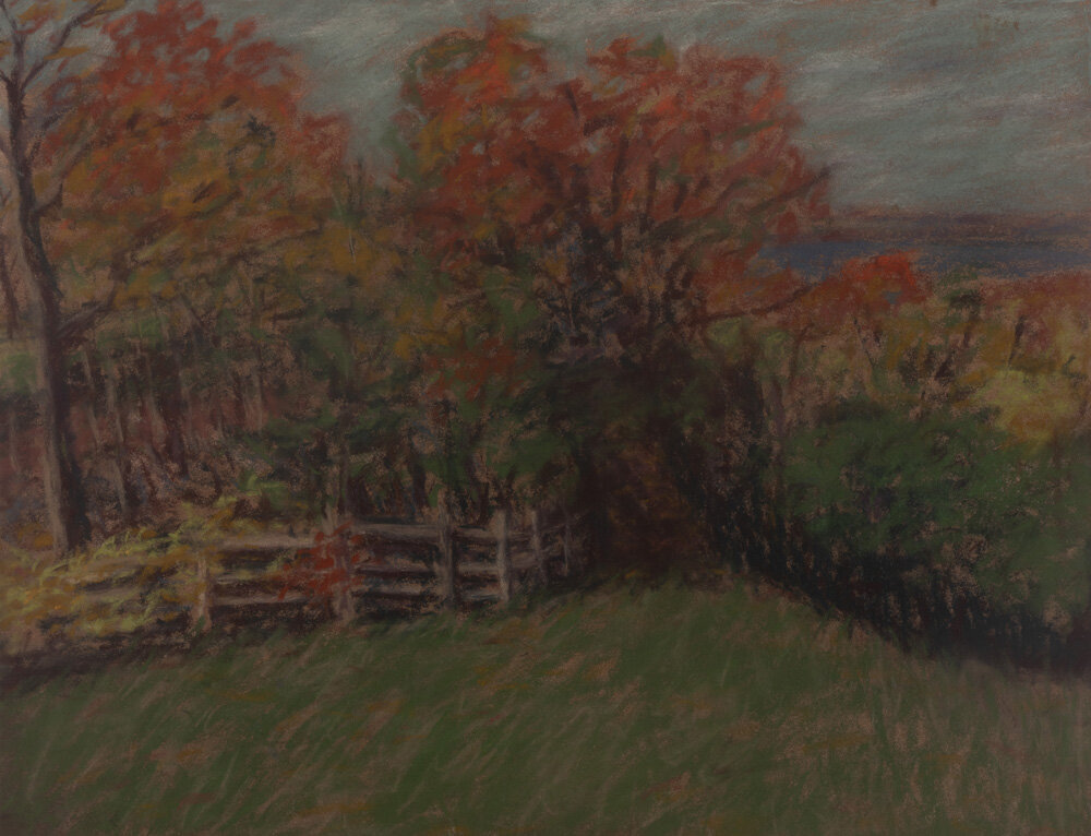 Gallery 1 — Elizabeth Shafer Artist