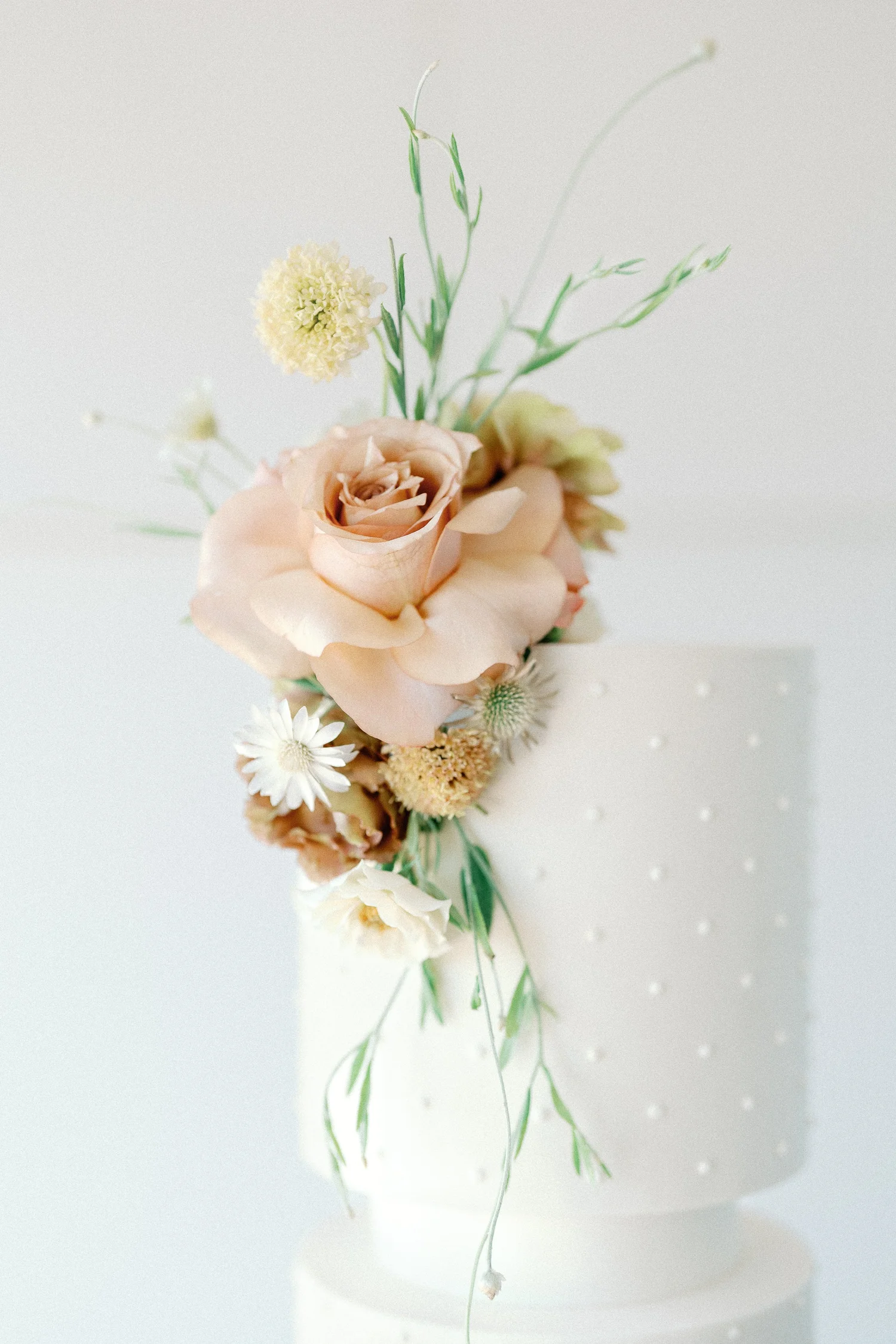 Gallery — Ink Sweets | Minneapolis Cake Designer