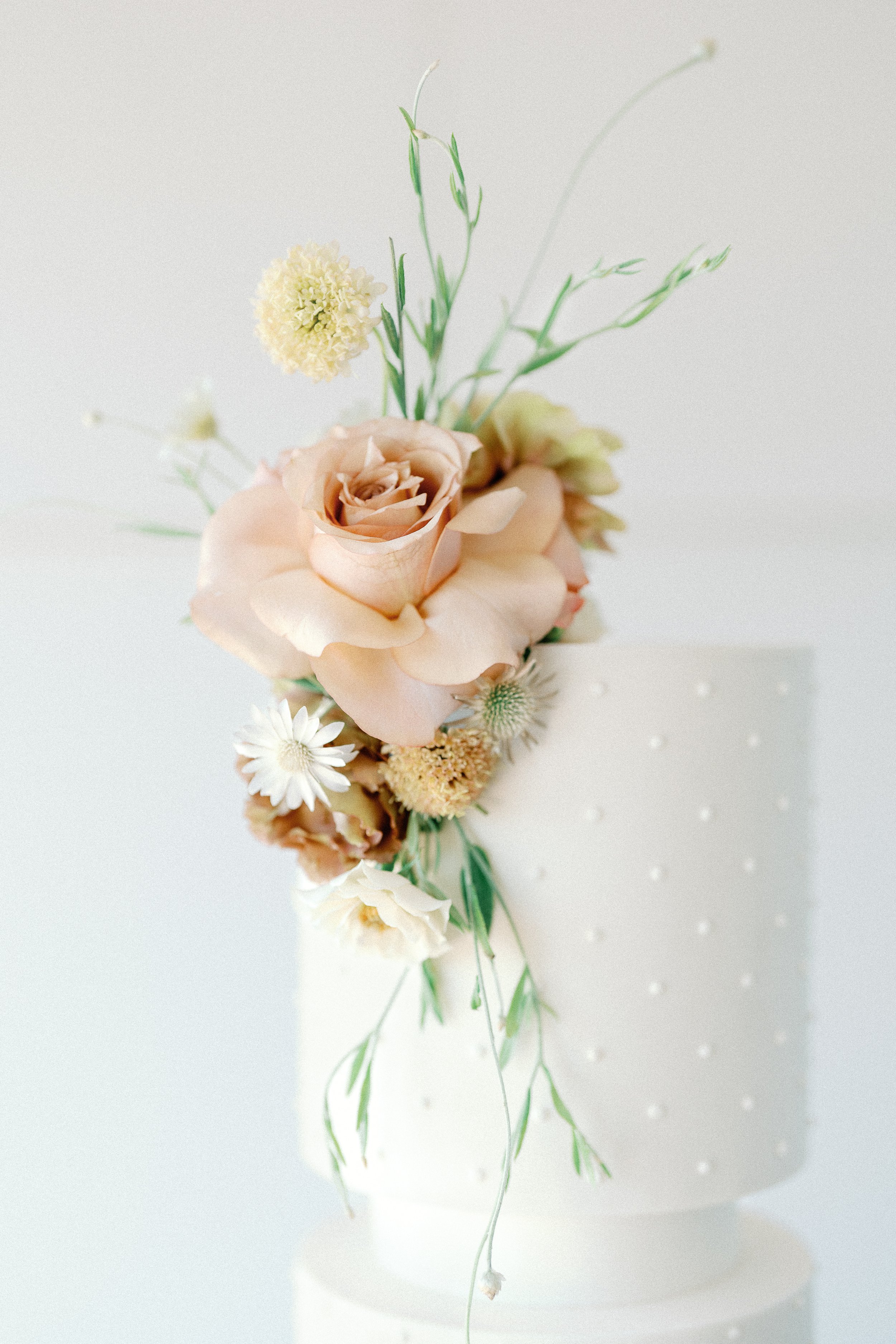Gallery — Ink Sweets | Minneapolis Cake Designer