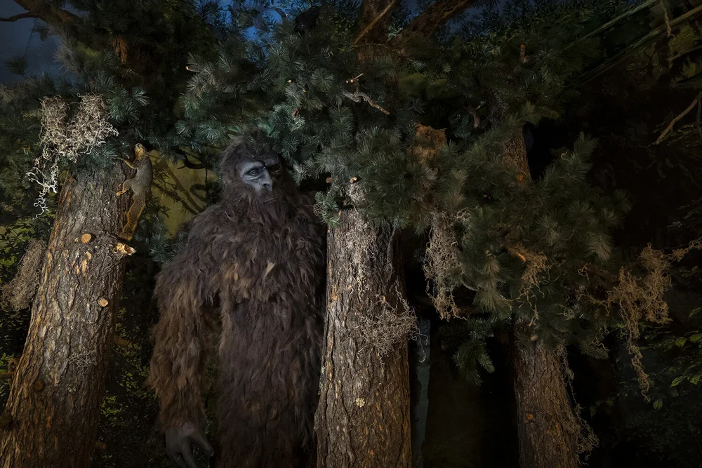 Colorado’s Best Hidden Gems — Travels and Curiosities | Curious Travel ...