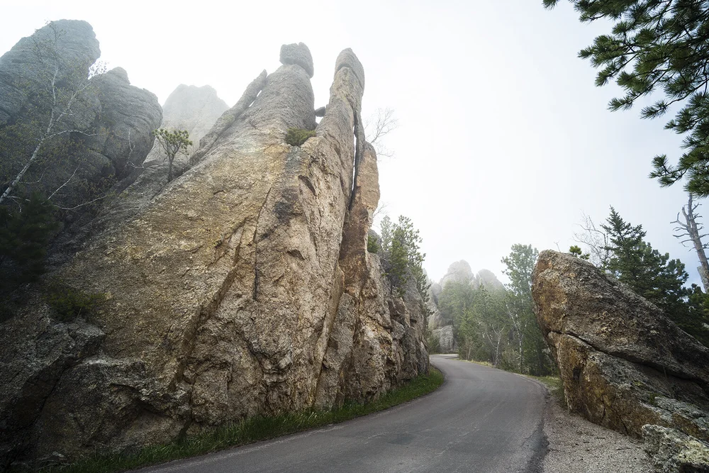 Needles Highway - Everything You Need to Know — Travels and Curiosities ...