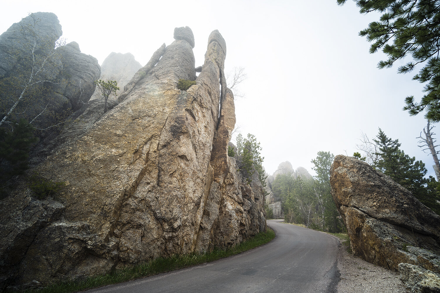 Needles Highway - Everything You Need to Know — Travels and Curiosities ...