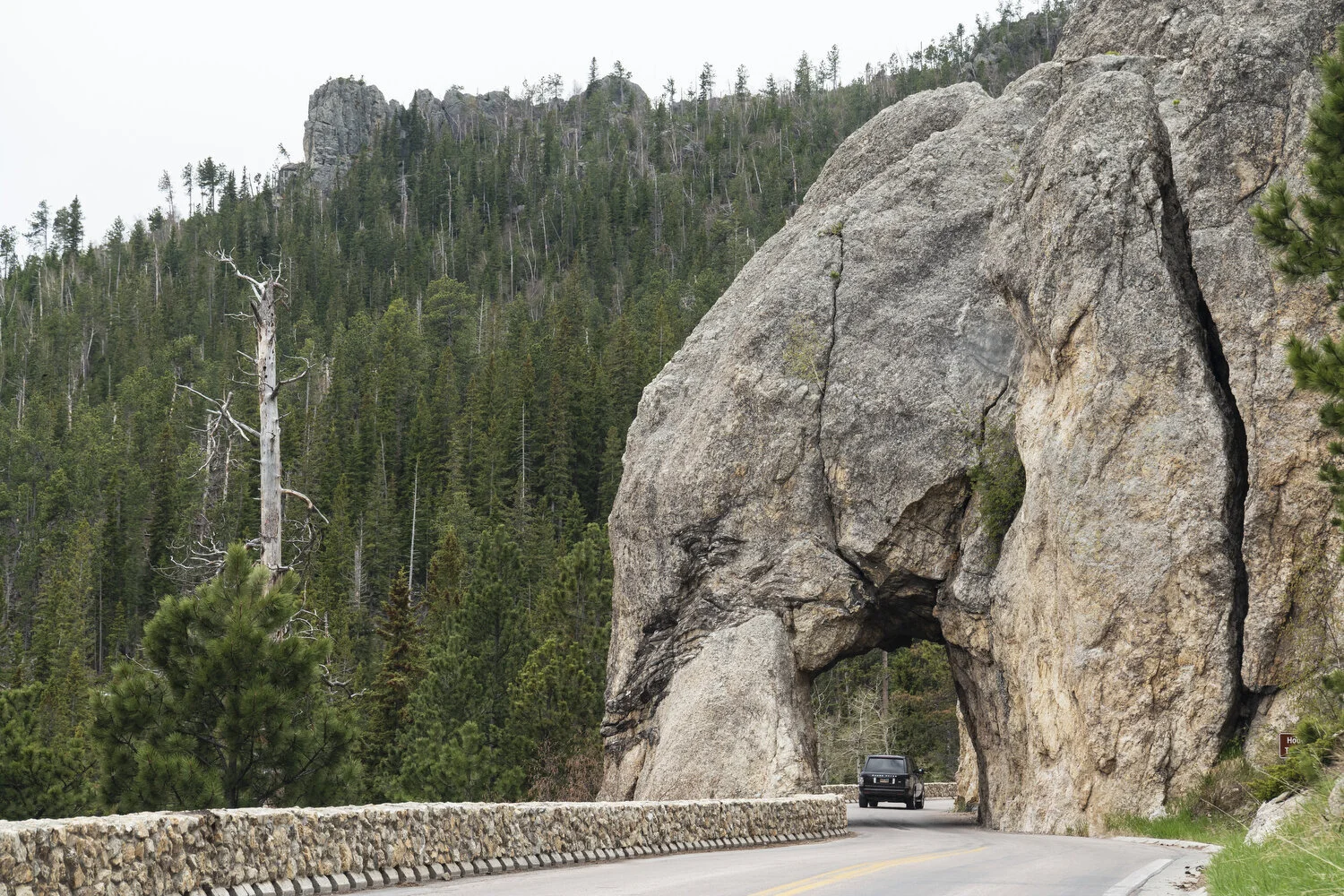 Needles Highway - Everything You Need to Know — Travels and Curiosities ...