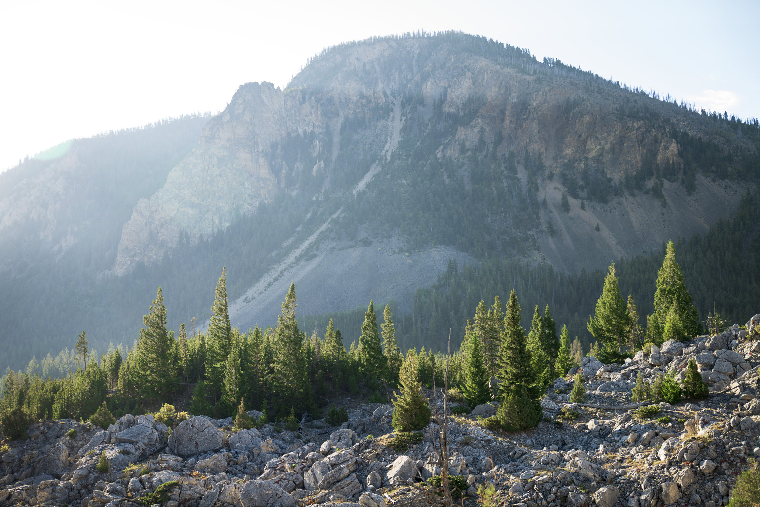 Best Photo Spots in Yellowstone — Travels and Curiosities | Curious ...