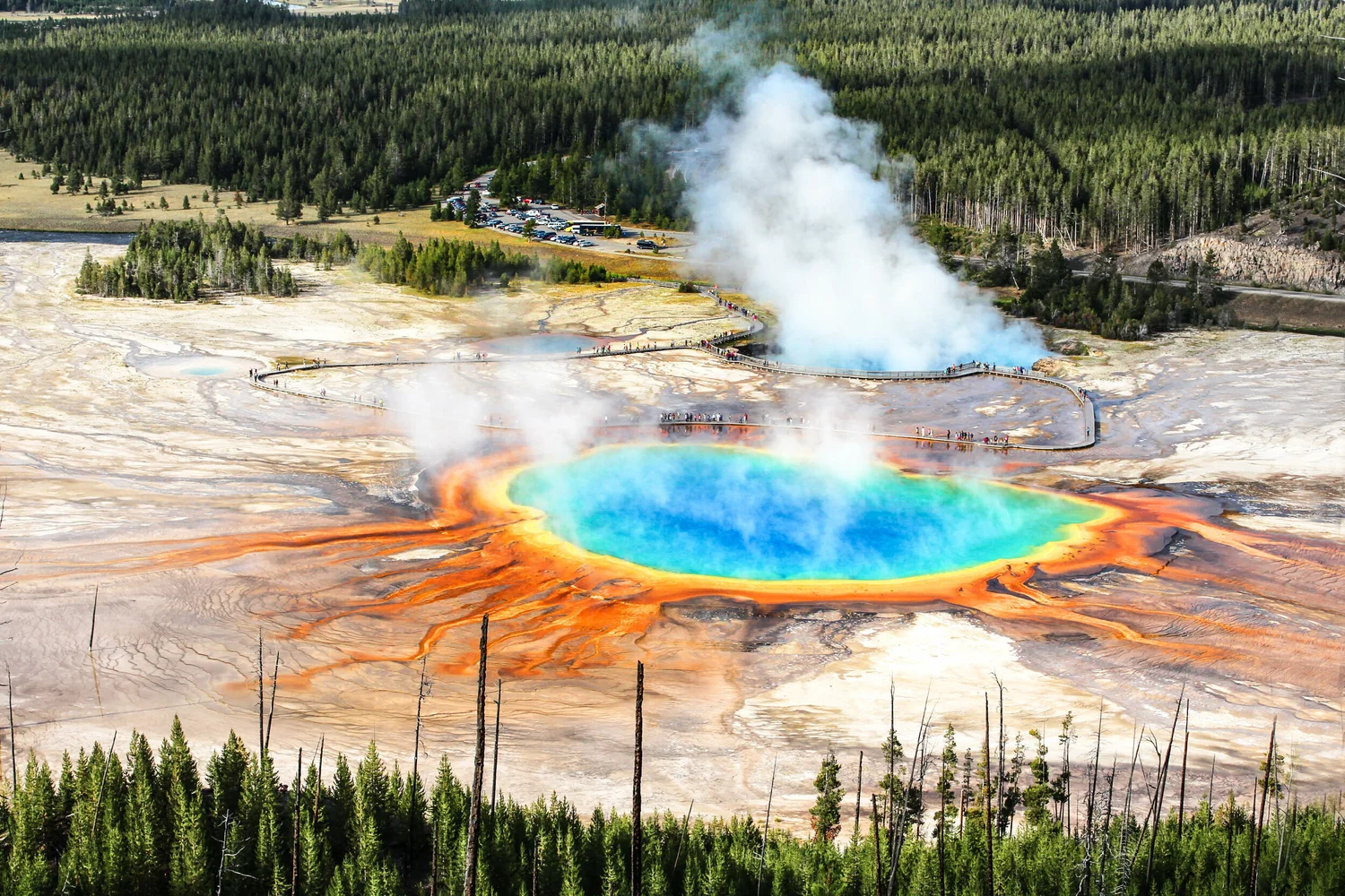Best Photo Spots in Yellowstone — Travels and Curiosities | Curious ...