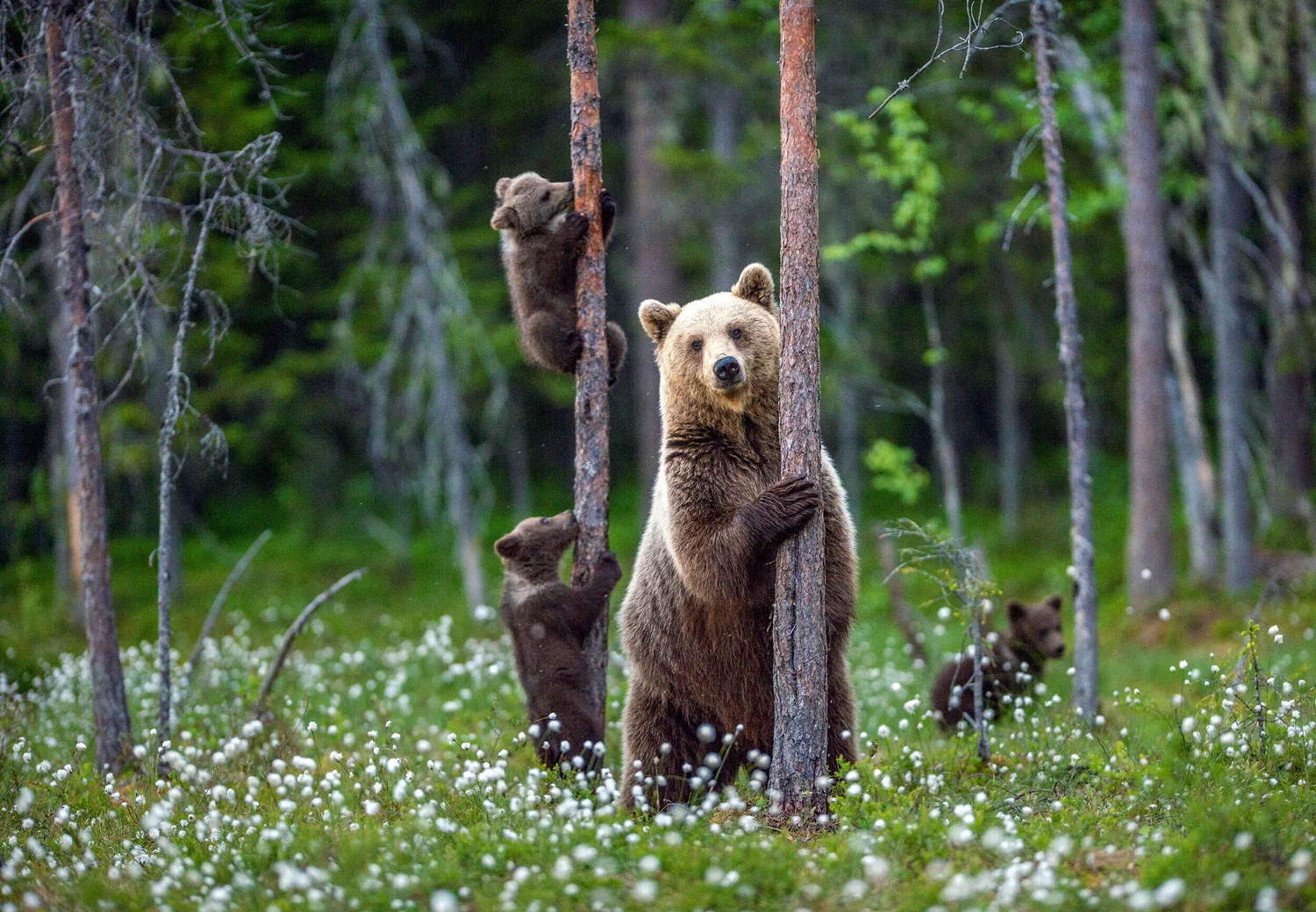 Get Over Your Fear of Camping — Travels and Curiosities | Curious ...