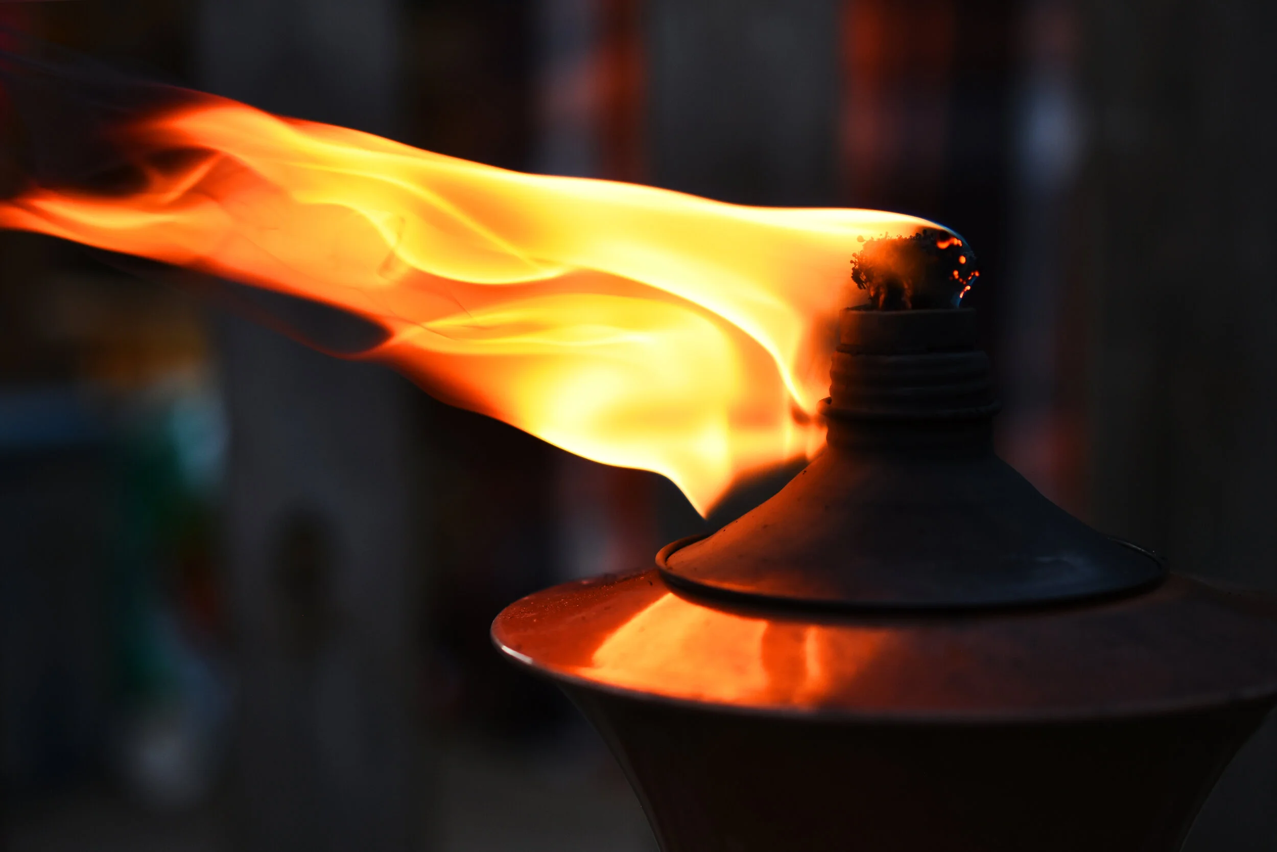 Get Over Your Fear of Camping — Travels and Curiosities | Curious ...