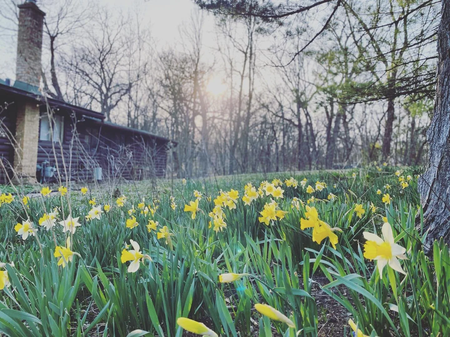 Long Grove Park District