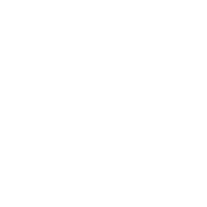 SentryMobile — MPS