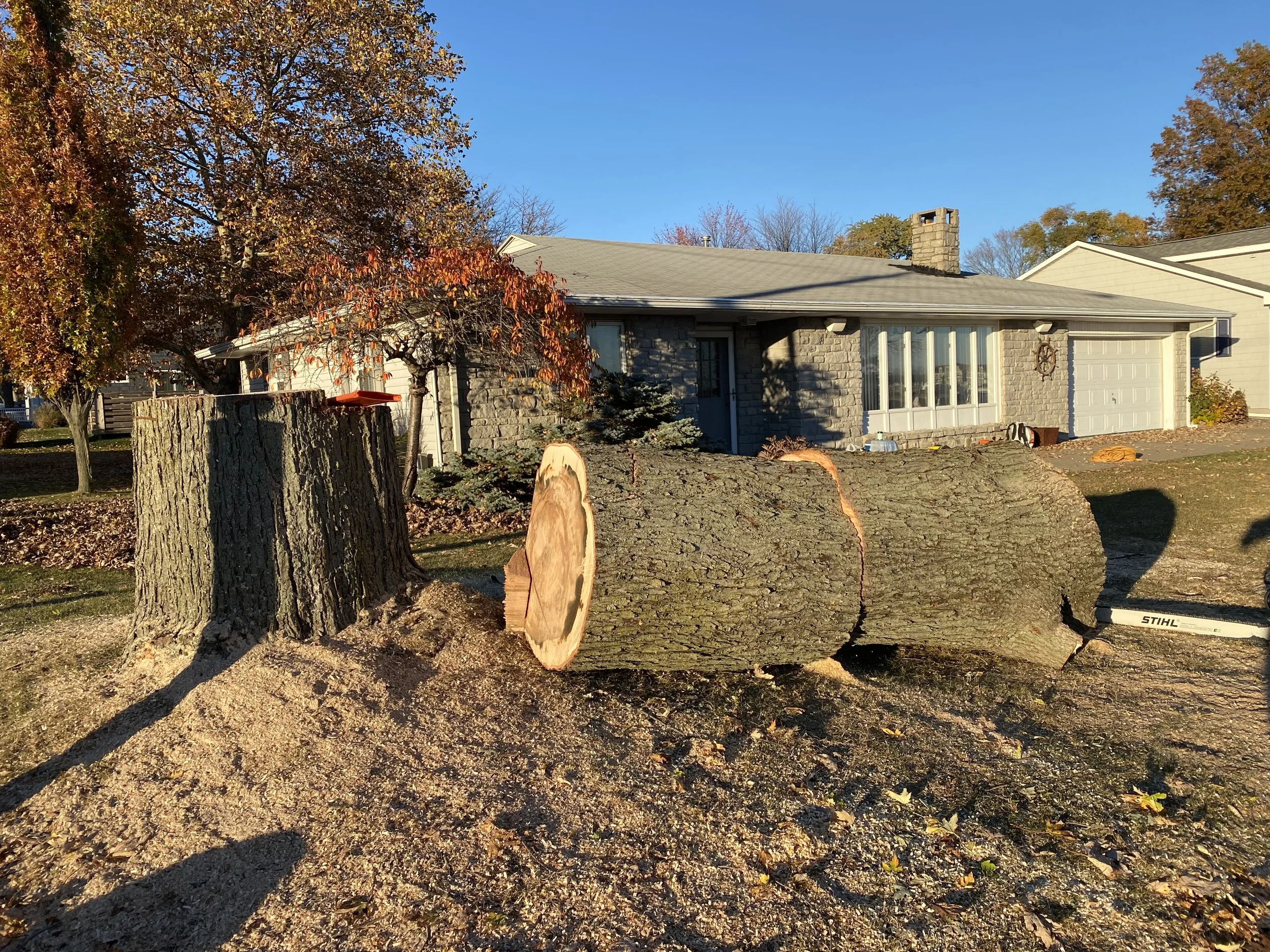 Gallery — Guardian Tree Care