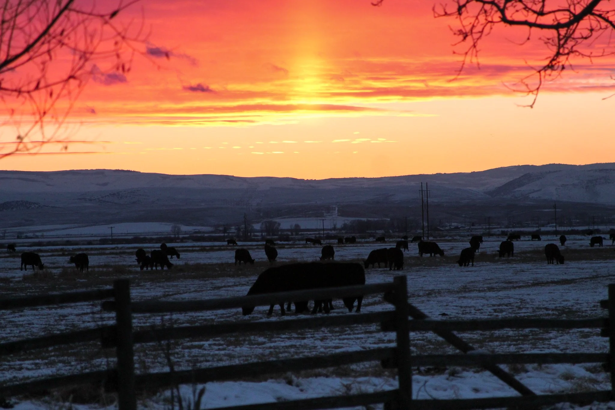 About | Family Owned & Operated — Double T Ranch