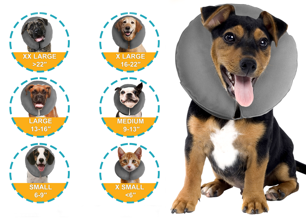 Zen Collar — Zen Pet USA