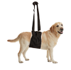 Buddy Lift — Zen Pet USA
