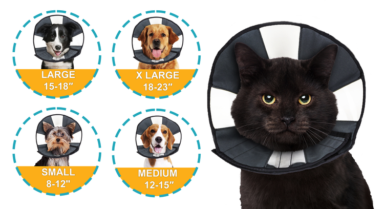 ZenCone — Zen Pet USA