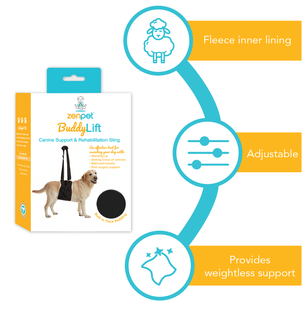 Buddy Lift — Zen Pet USA
