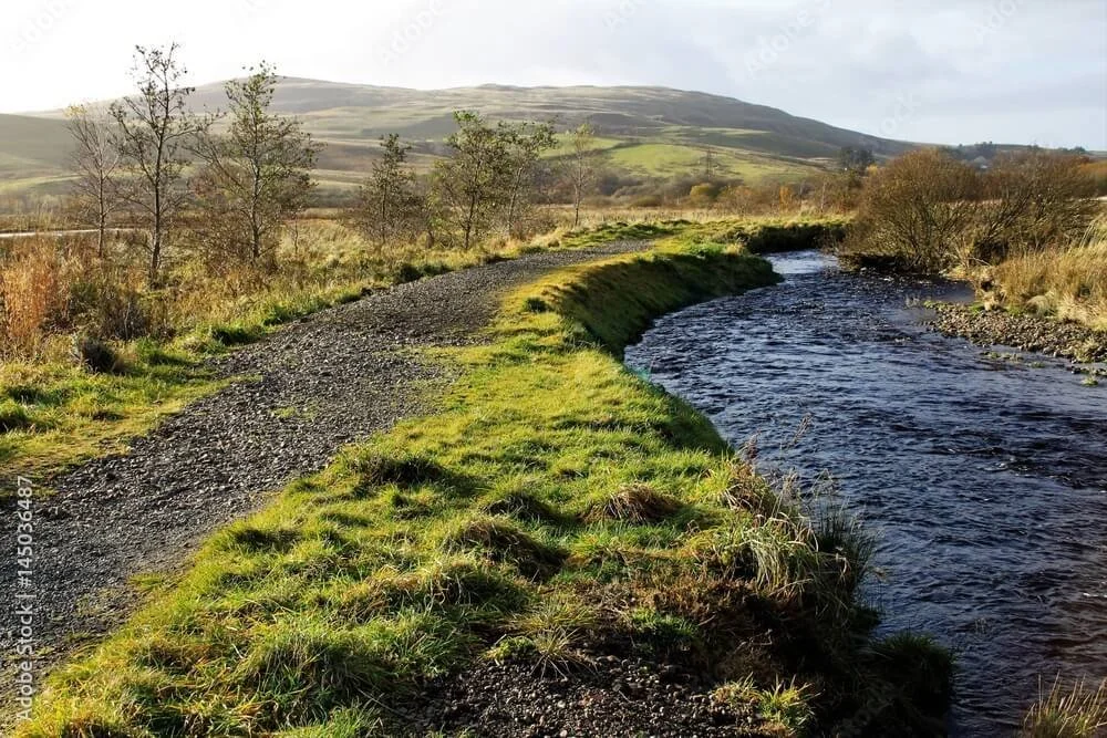 Dalmellington — Nine Community Council Group Ayrshire