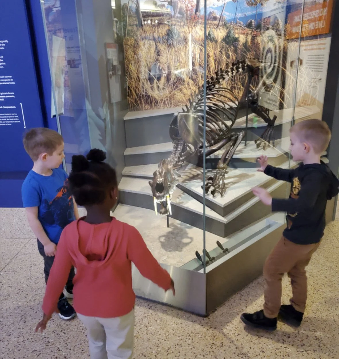 General 4 — Active Minds Learning