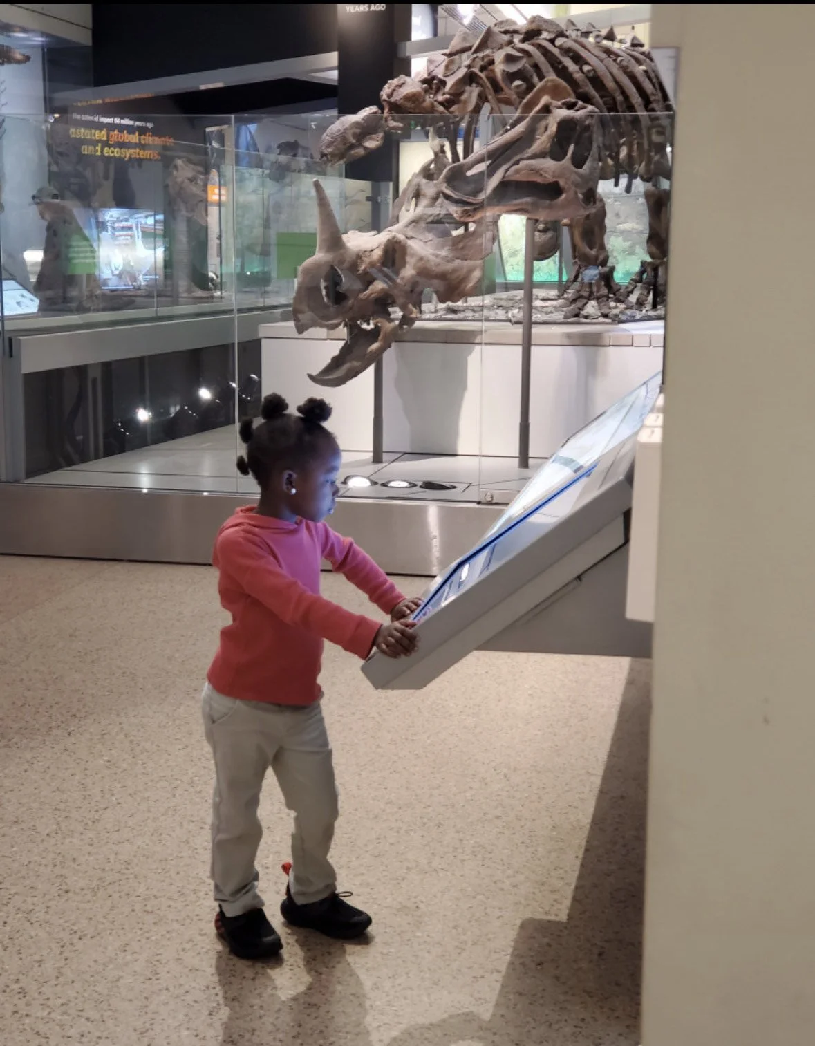 General 4 — Active Minds Learning