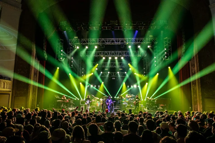 about dogs in a pile