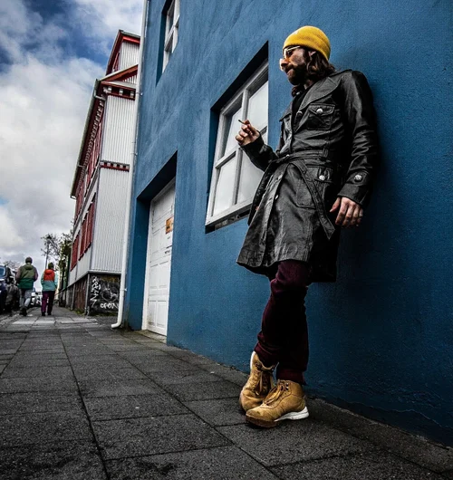 about dogs in a pile