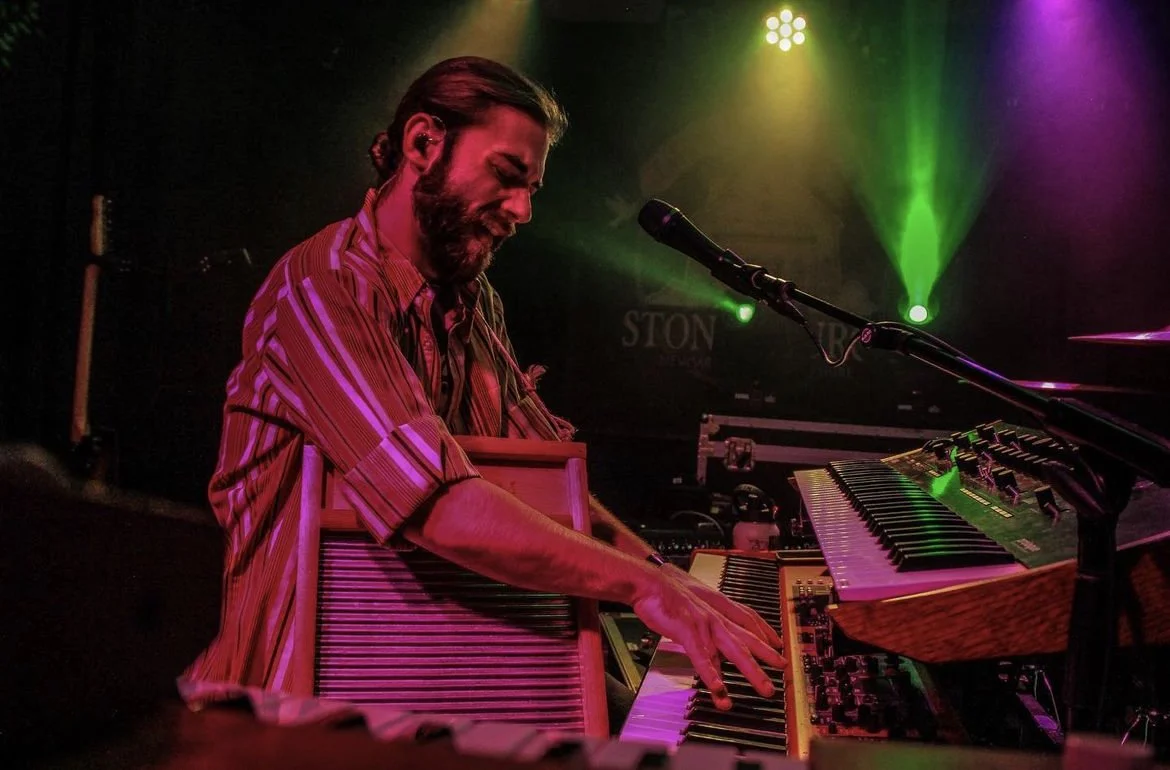 about dogs in a pile