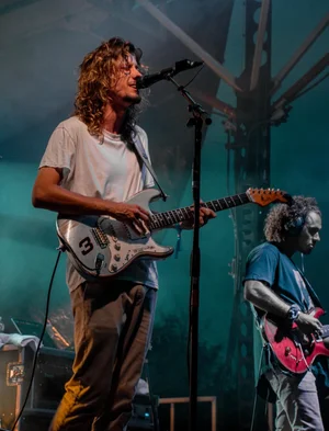 about dogs in a pile