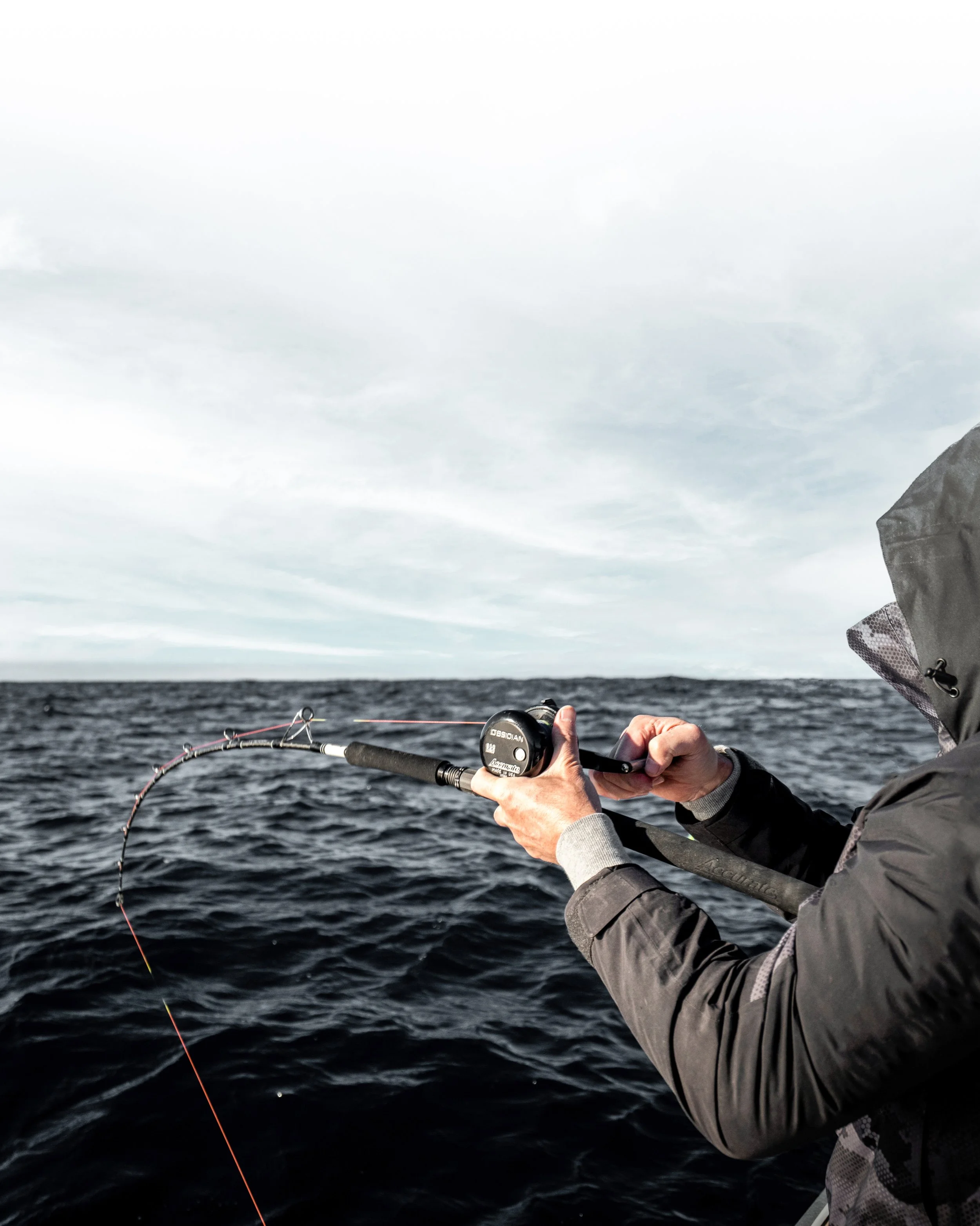 Accurate Fishing New Zealand | Lightweight, Powerful, Precision Reels