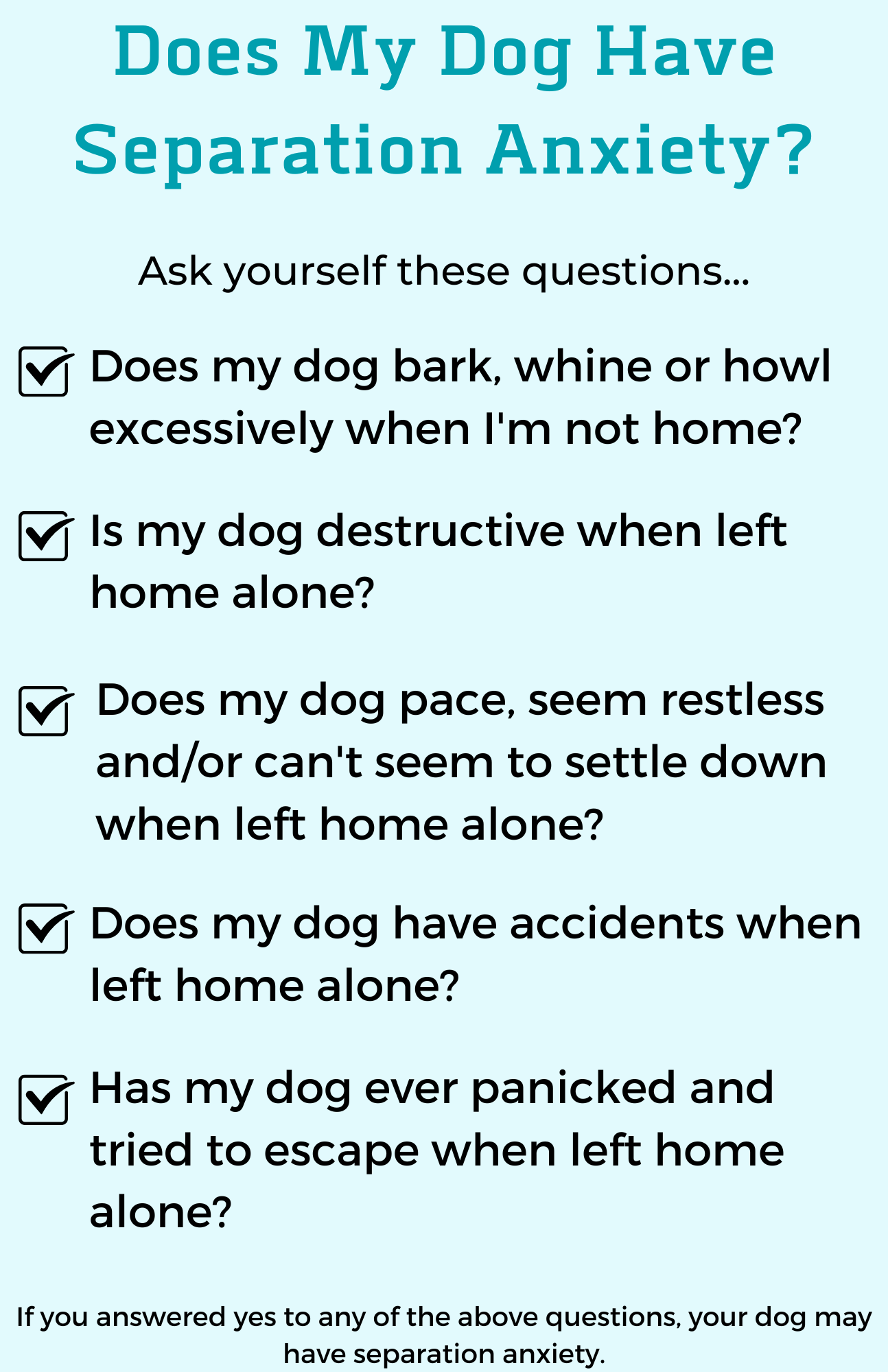Dog Separation Anxiety Training | Puppy Separation Anxiety — Lasata Dog Training