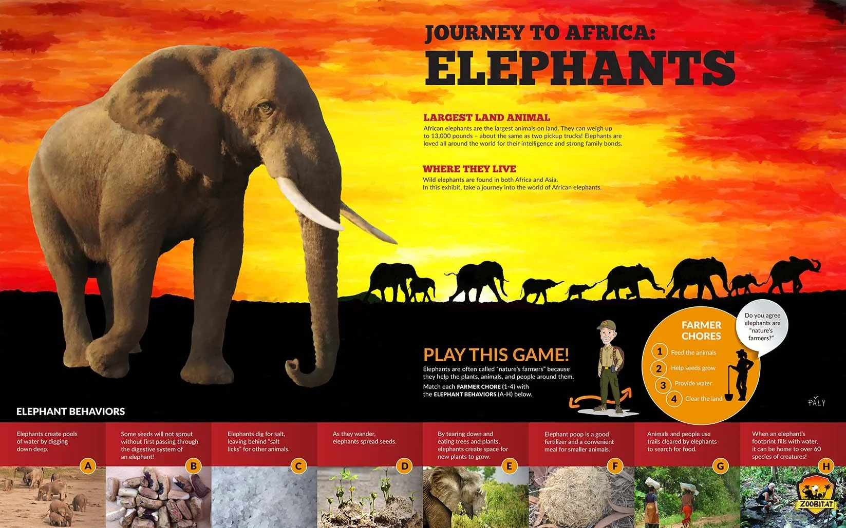 Exhibits — Zoobitat.org