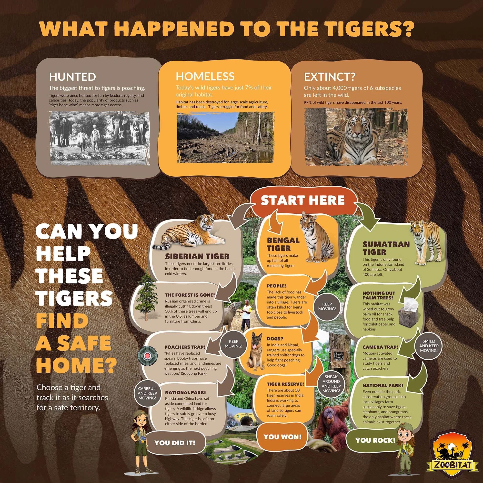 TigerTigerExhibitPage — Zoobitat.org