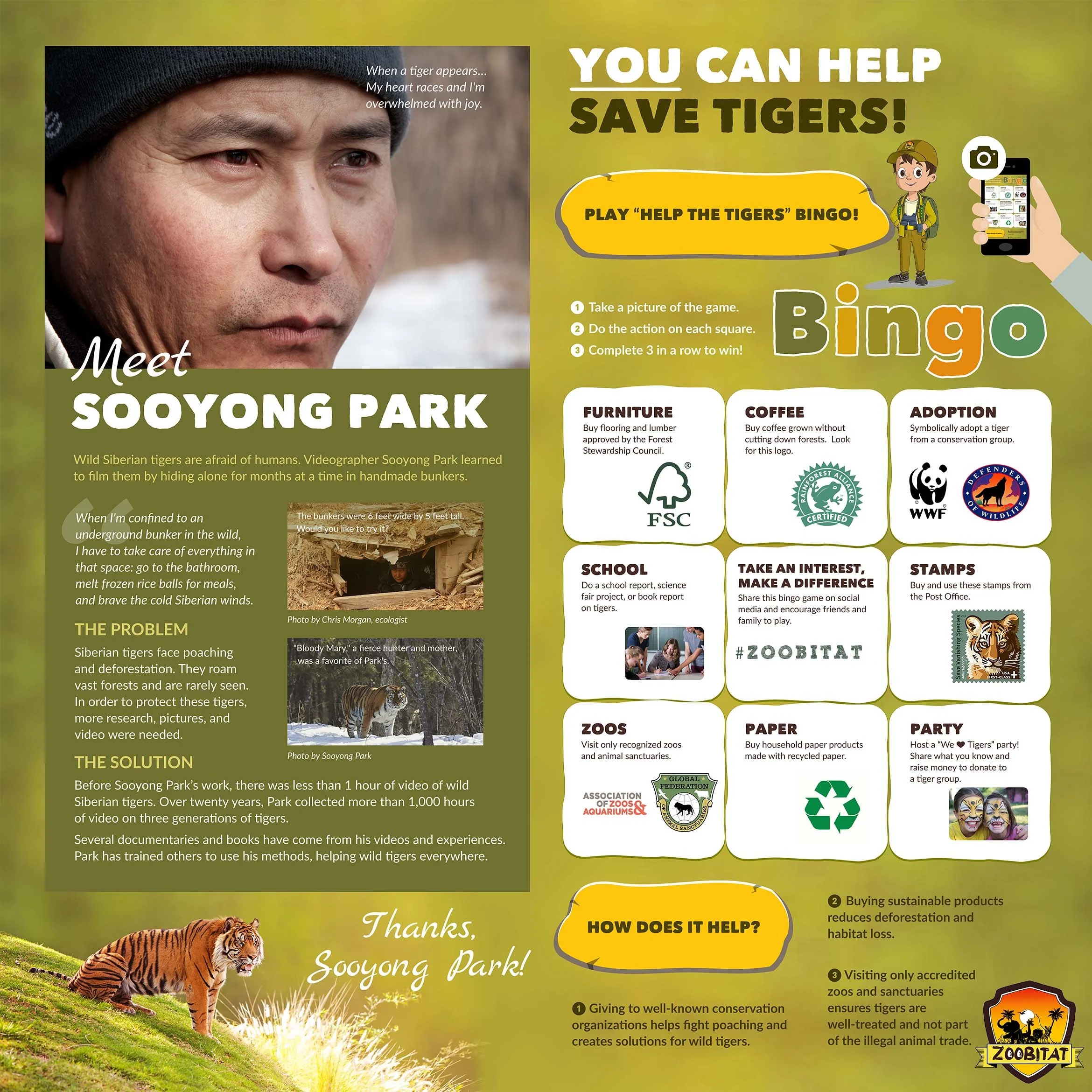 TigerTigerExhibitPage — Zoobitat.org