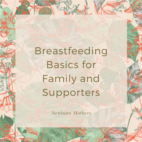Breastfeeding Basics for Family and Supporters — Newborn Mothers