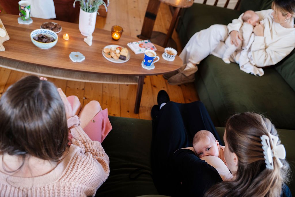 Postpartum Doula Training — Newborn Mothers