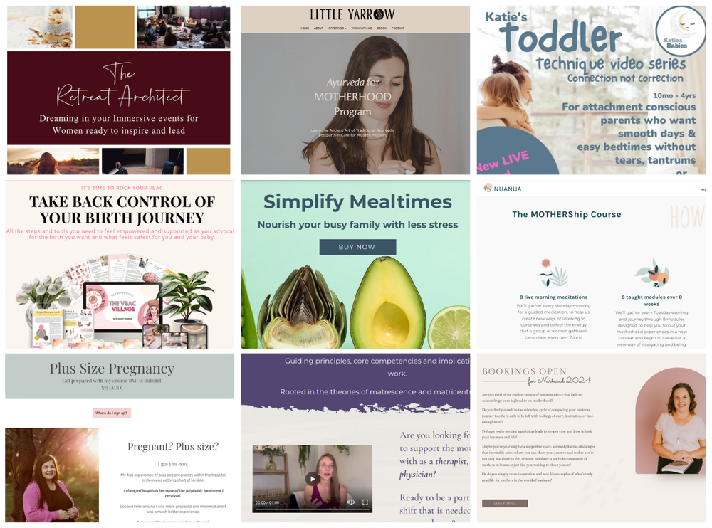 Professional Postpartum Training — Newborn Mothers