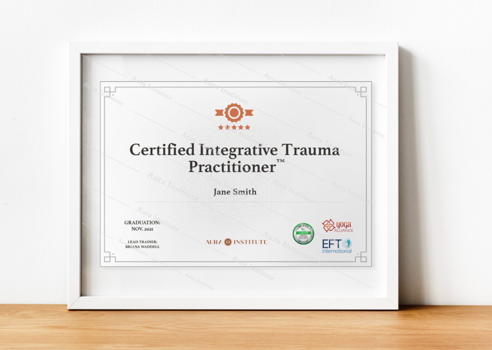 Aura Institute - Trauma & Somatic Therapy Training