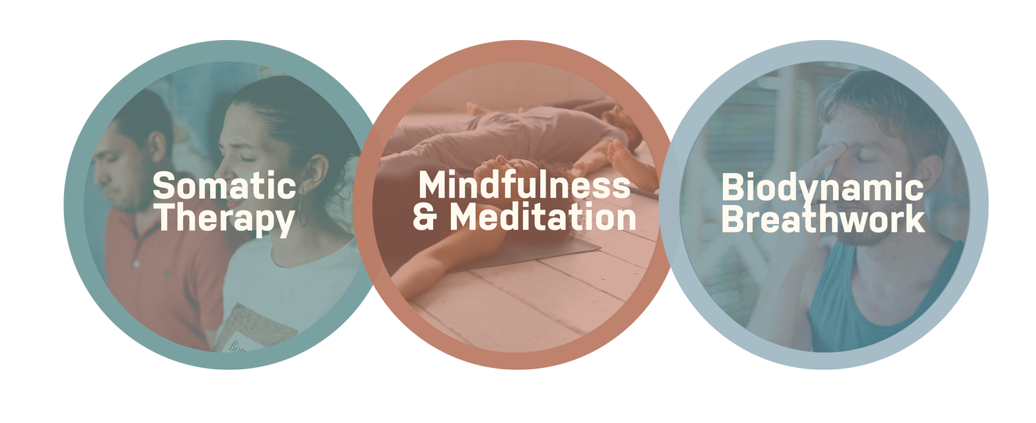 Trauma Informed Therapy Training — Aura Institute - Integrative Trauma ...