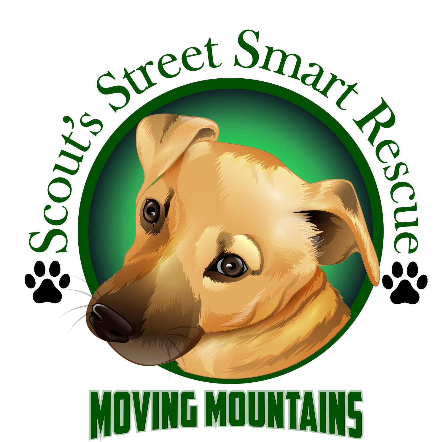 Scouts Street Smart Rescue