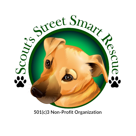 Scouts Street Smart Rescue