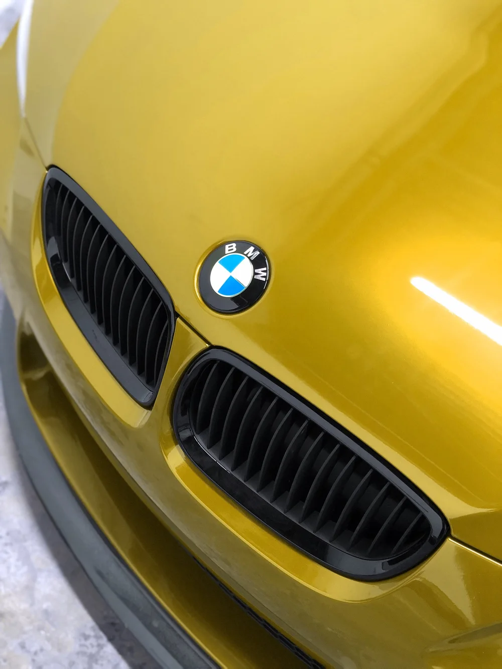 Charlotte, NC's Best Paint Protection Specialists | Highest Quality PPF ...