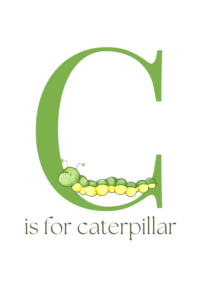 C is for Caterpillar — Alphabet Soup Studios