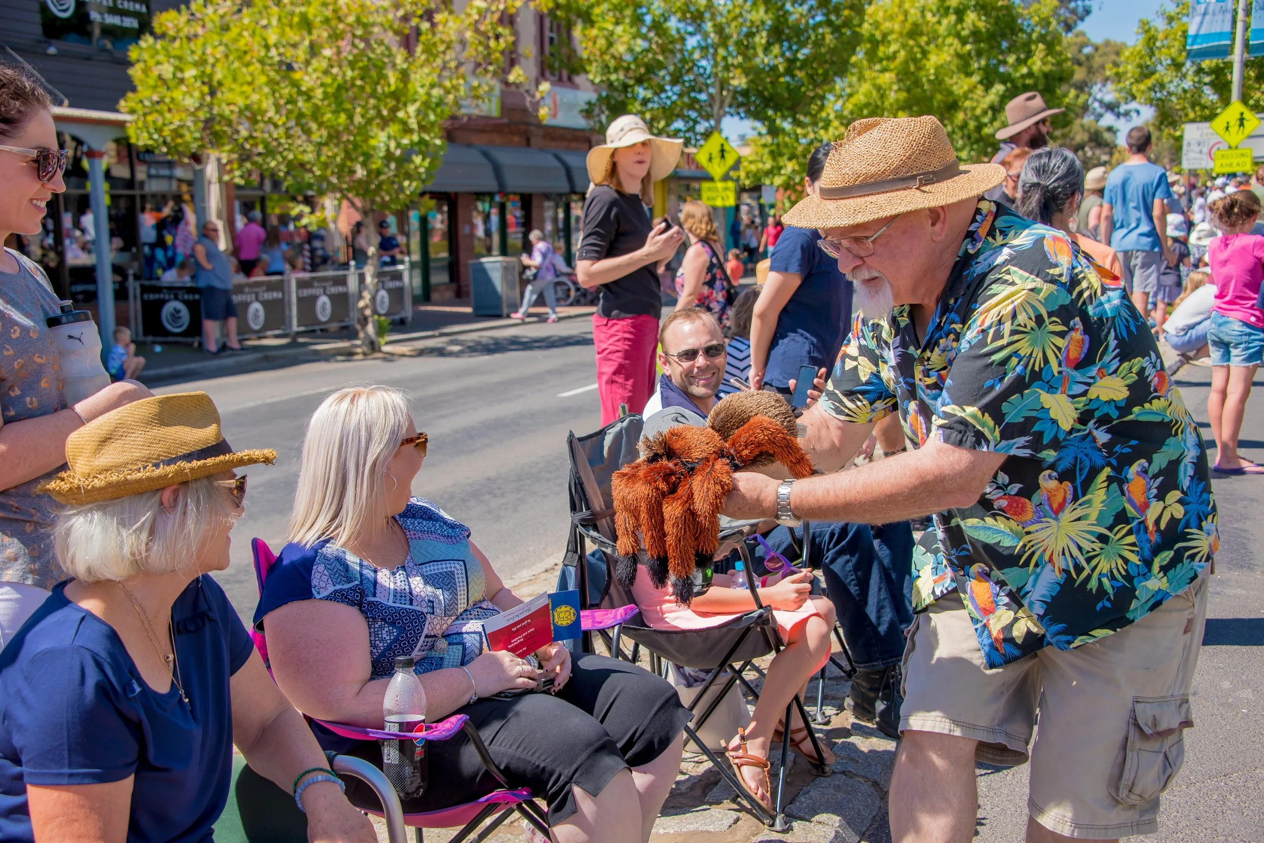 Eaglehawk Festivals Inc