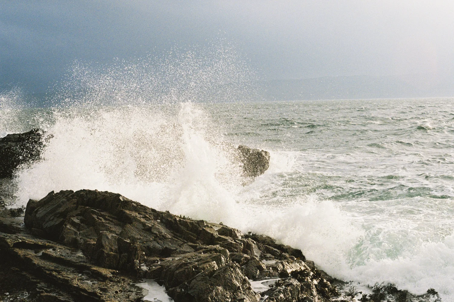 Malin — Malin Lewis