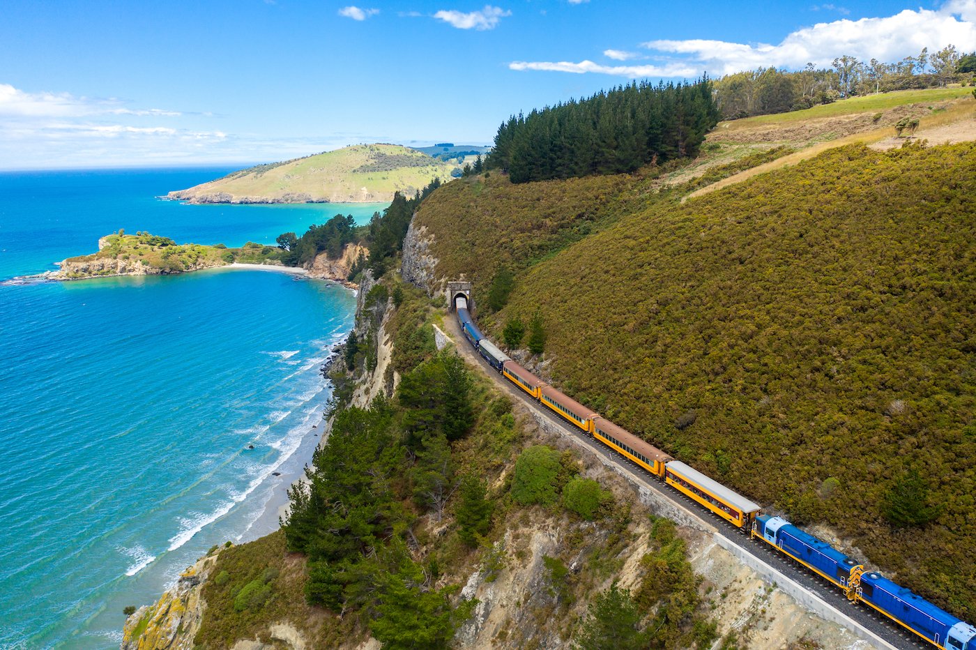 The Wild Seasider Volcano Express — Wild Dunedin