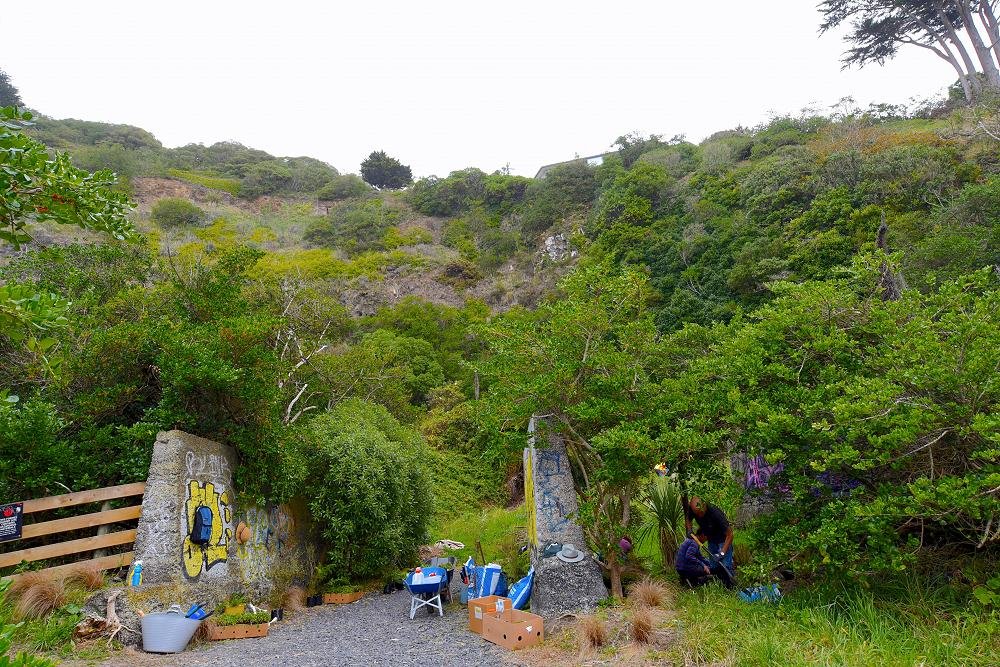 Whakahekerau – Second Beach — Wild Dunedin