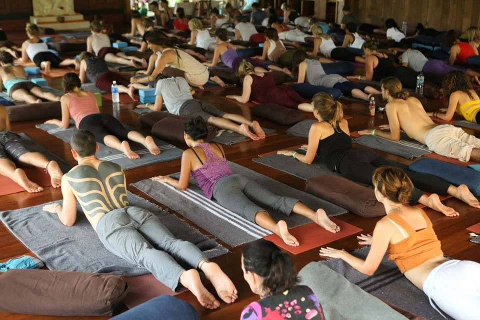 500hr HELD Advanced Yoga Teacher Training — HELD