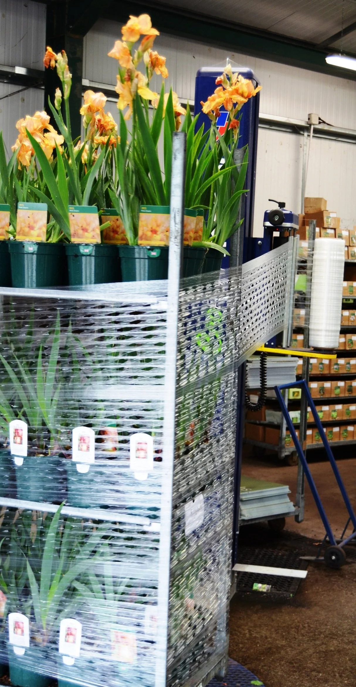 Perforated Pallet Wrap — Excelerate Ltd - High Performance Pallet Wrap