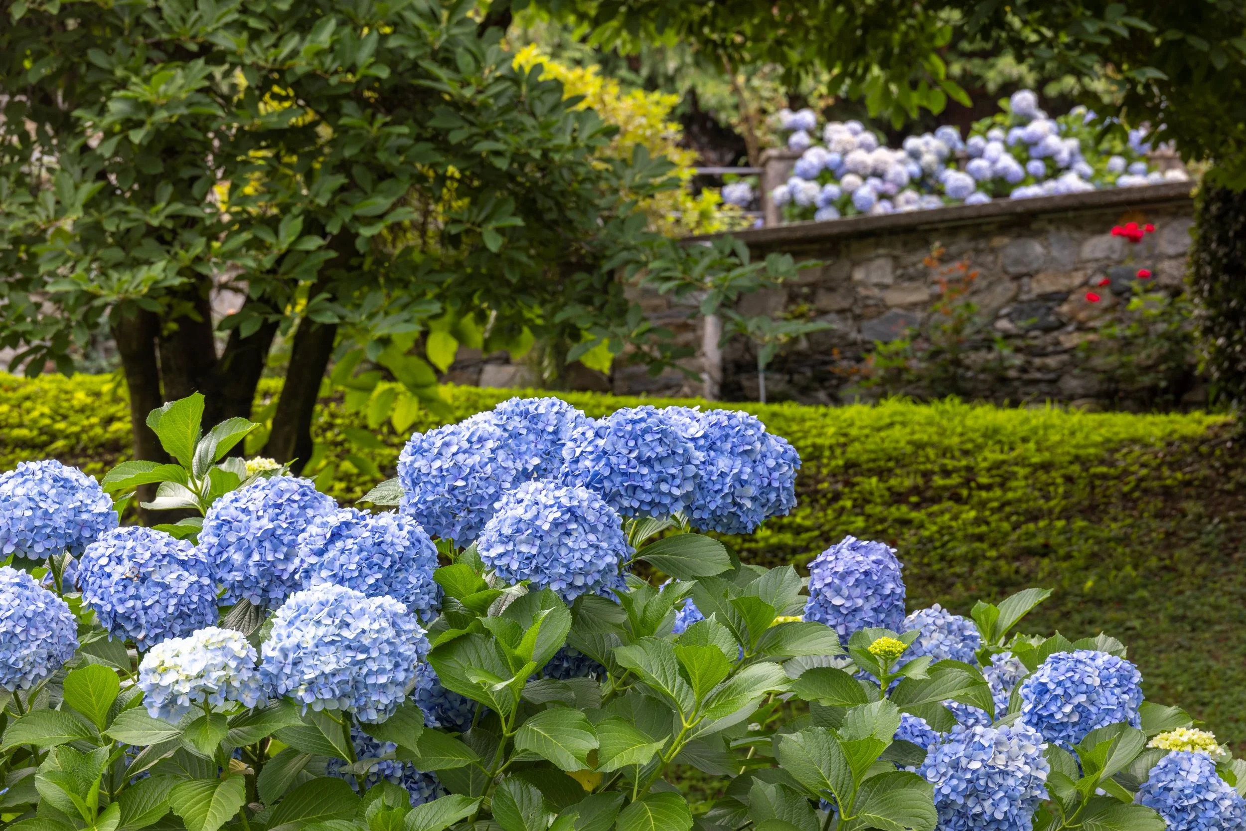 About — GIARDINO LORELLA